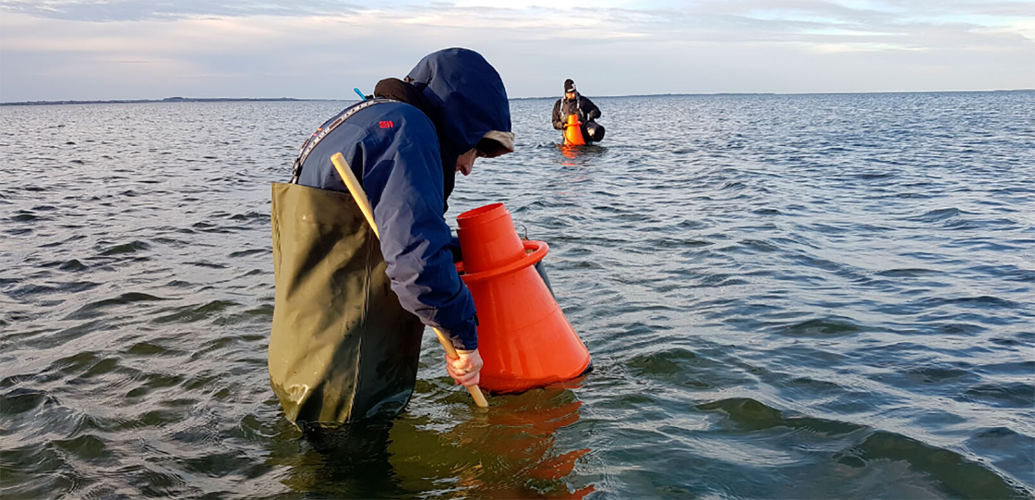 Oplevelser ved Limfjorden | VisitNordvestkysten