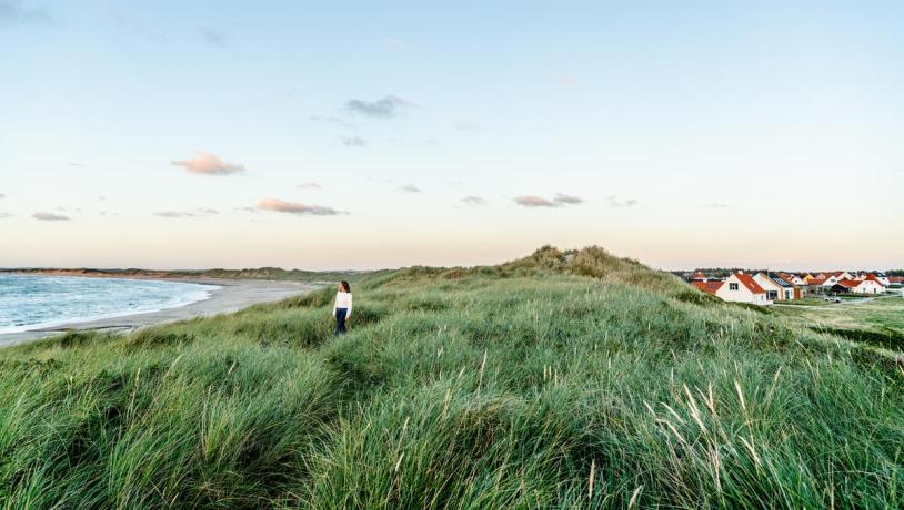 Nederlændernes voksende kærlighed til Nordvestkysten | VisitNordvestkysten